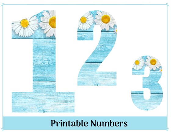 Daisy Numbers 0-9 Clip Art Printable & Resizable Numbers - Etsy