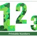 Shamrock Printable Alphabet Letter & Number Clip Art - Etsy