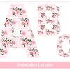 Rainbow Glitter Alphabet Cards | Classroom Alphabet | Printable ...