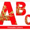 Rainbow Leopard Alphabet Letters A-Z, Numbers 0-9 Banner, Bulletin ...