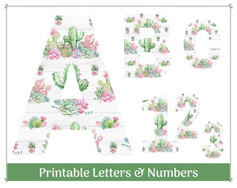 Cactus Alphabet & Numbers: Printable Bulletin Board Letters (digital ...