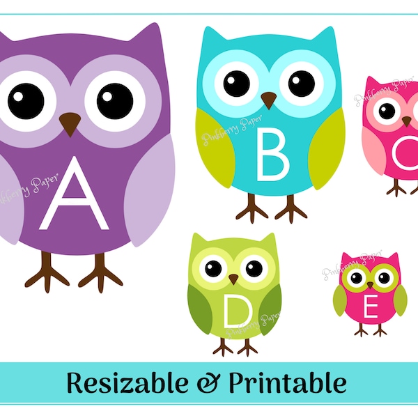 Colorful Owl Art - Etsy