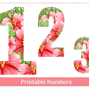 Pink Tropical Alphabet Clip Art | Uppercase Letters A-Z | Preppy DIY ...