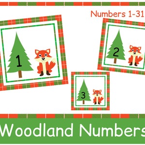 Woodland Themed Classroom Bundle | 12 Month Calendar | Alphabet Cards ...