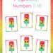 Orange Floral Alphabet Letters A-Z, Numbers 0-9 | Bulletin Board ...