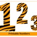 Tiger Stripe Alphabet Letters & Numbers: Safari Clip Art (digital ...