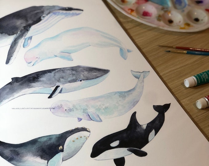 Wale der Welt Poster/Field Guide - Etsy.de