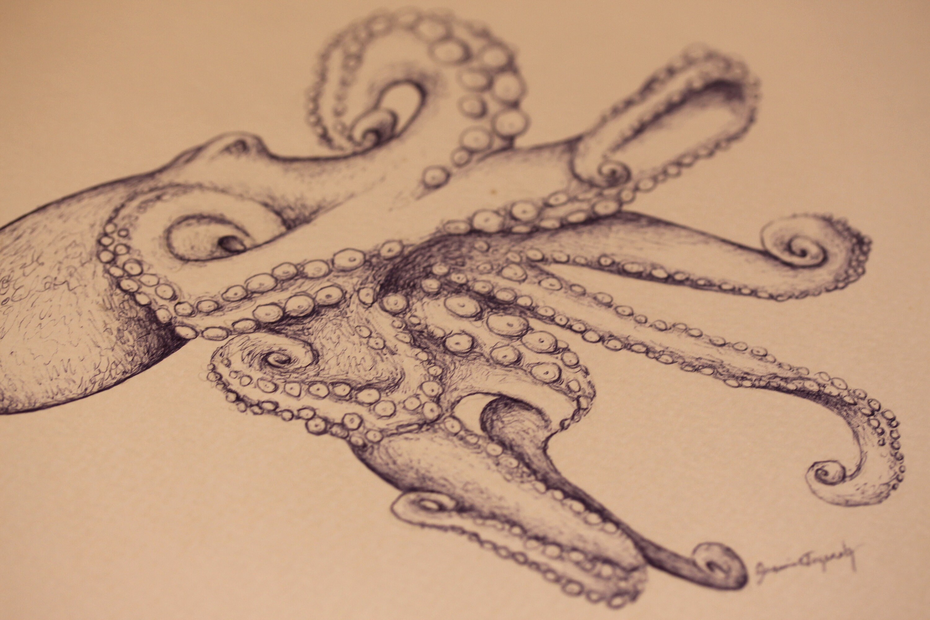 Casual Octopus, Original Pen&ink Drawing 9x12 - Etsy