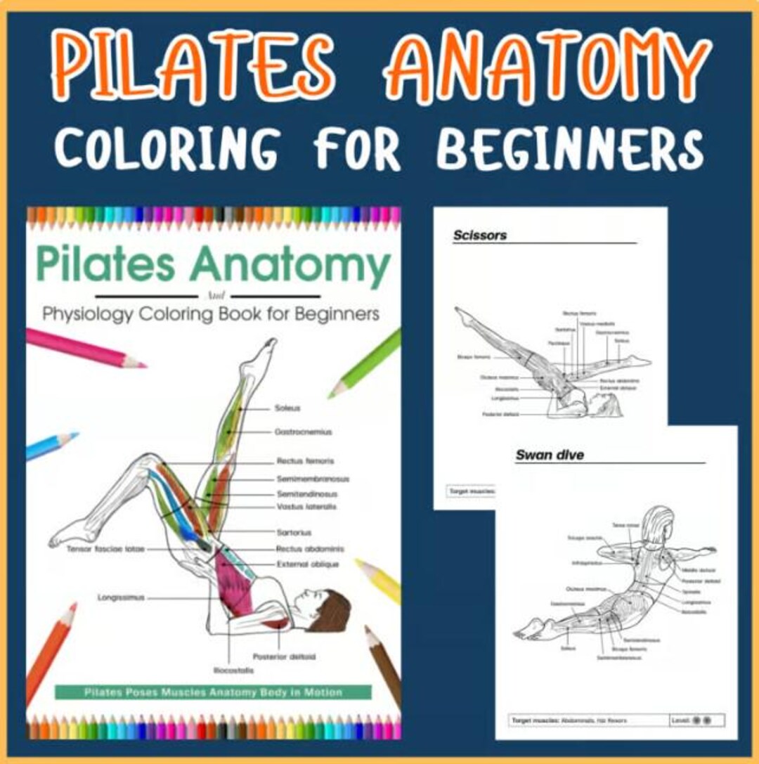Pilates Anatomy Coloring Book, Muscle Physiology for Beginners (digital ...