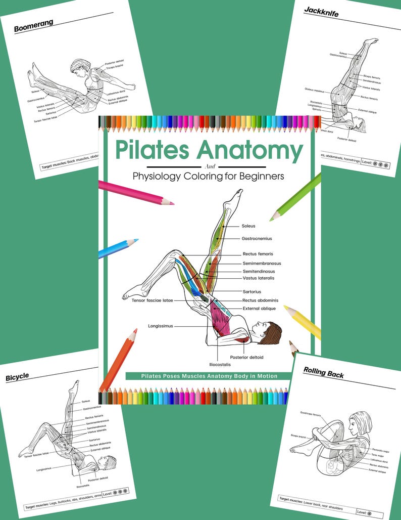 Pilates Anatomy Coloring Book, Muscle Physiology for Beginners (digital ...