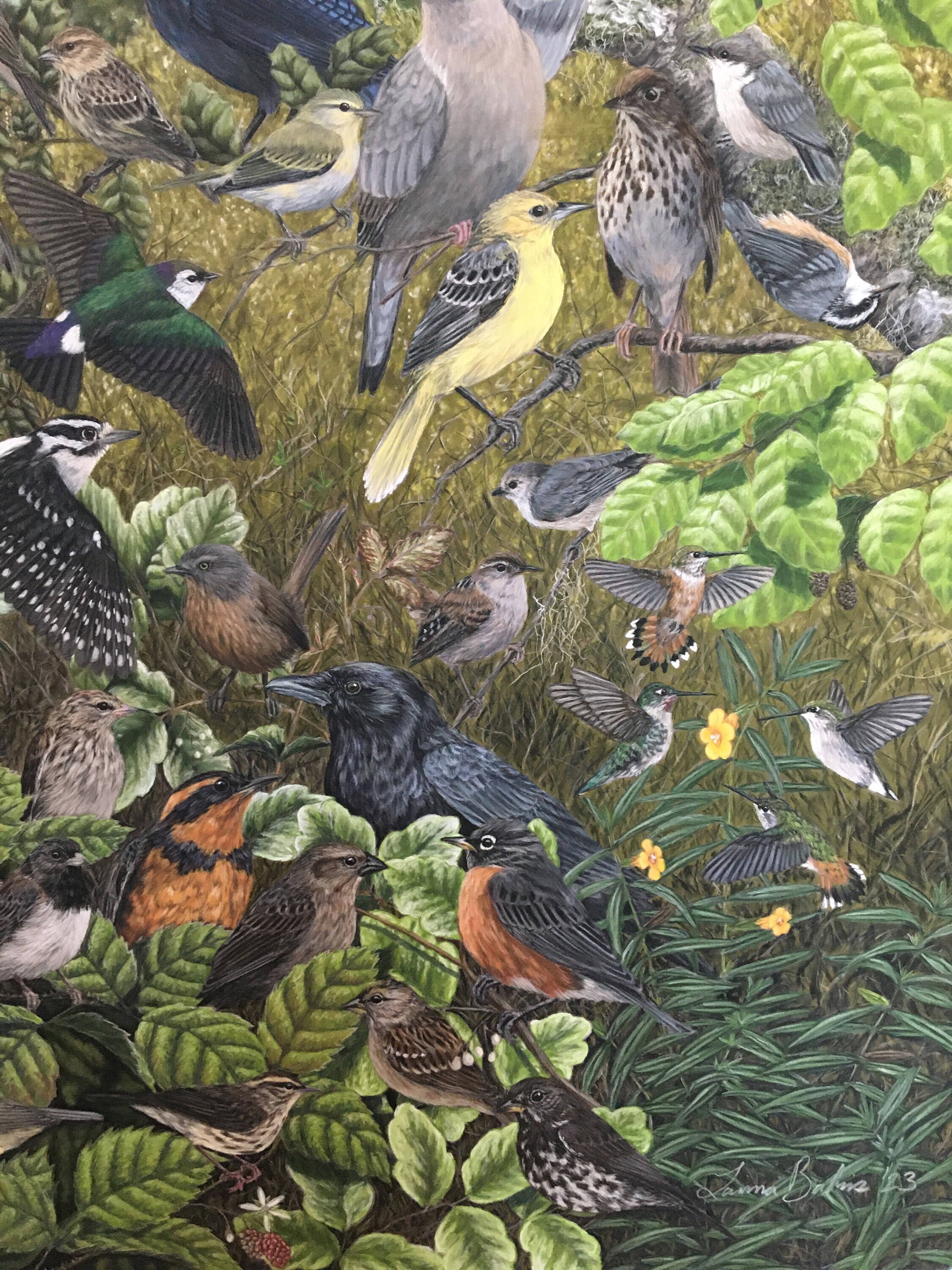 Original Birds of Palomarin Soft Pastel Drawing; Wildlife Art Painting ...