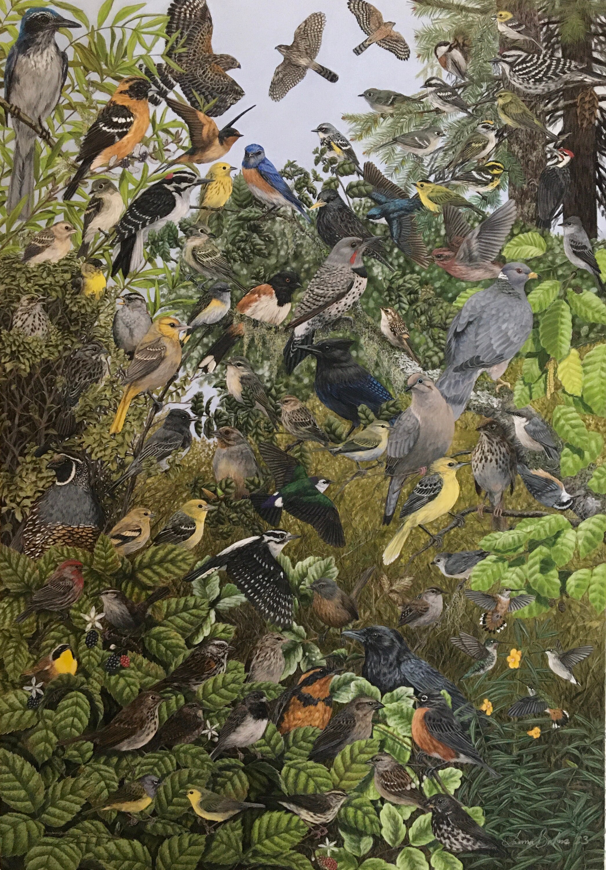 Original Birds of Palomarin Soft Pastel Drawing; Wildlife Art Painting ...