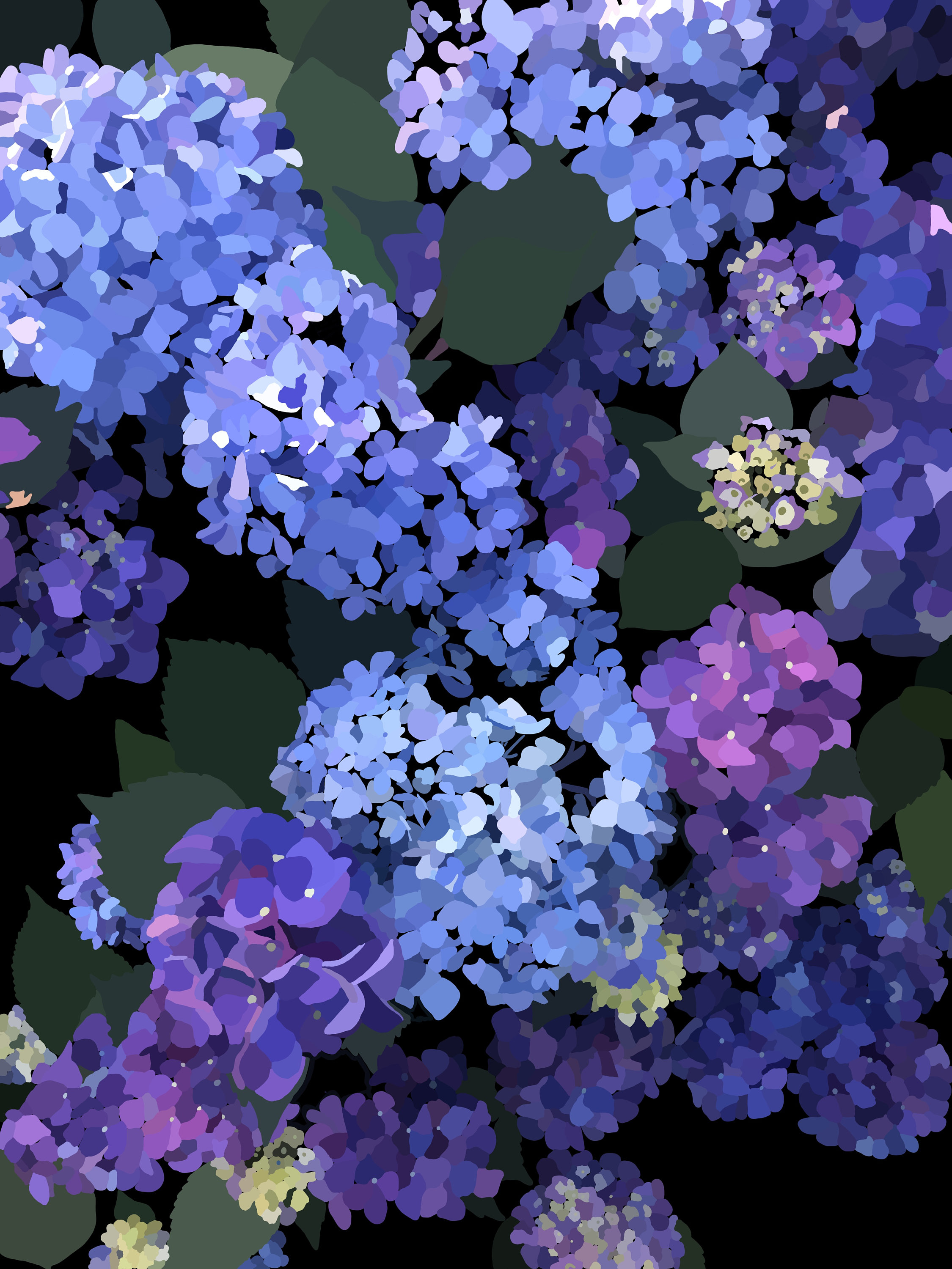 Hydrangea Illustration Giclee Print - Etsy