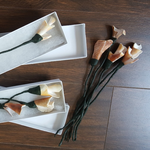 Seashell Flower - Etsy