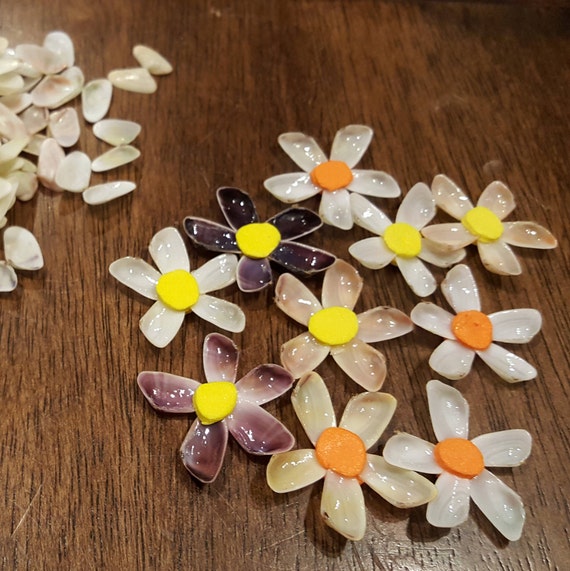Conchas De Playa Y Flores
