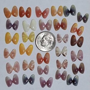 20 Tiny Coquina Shells Florida Gulf, Handpicked, Craft Shells, Shell ...