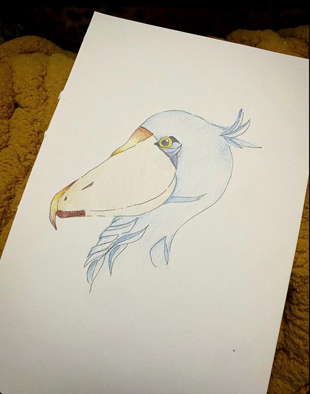 THE SHOEBILL STORK *print* - Etsy