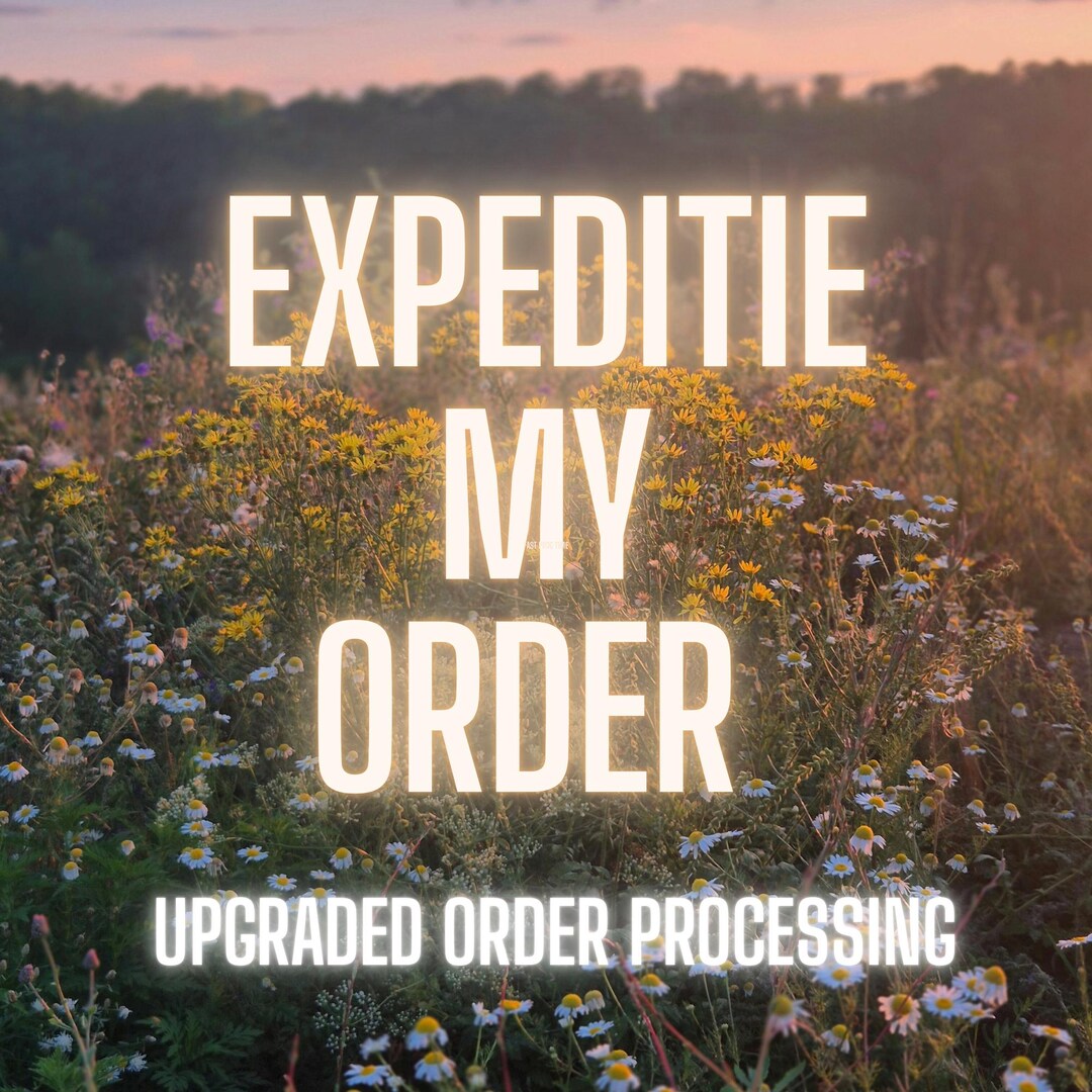 Expedite My Order: Upgraded Processing Time - Etsy