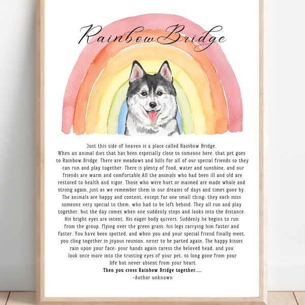 Rainbow Husky - Etsy