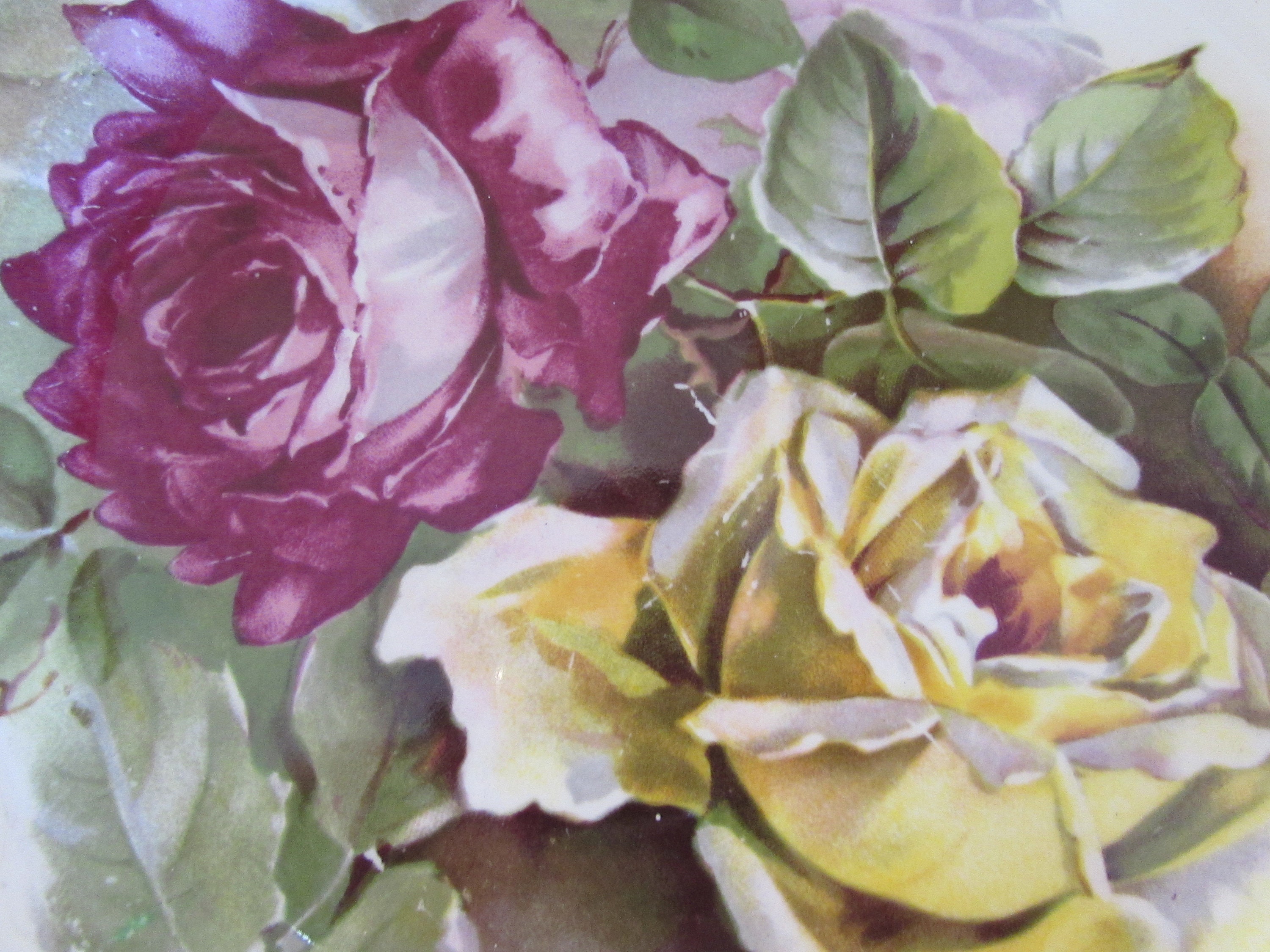 CLARICE CLIFF Roses Plate Newport Pottery Vintage - Etsy Singapore