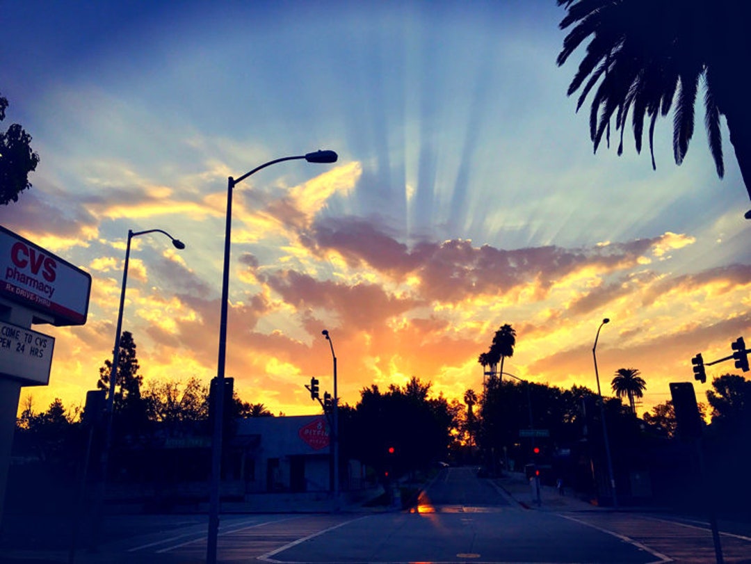 Sunbeams From Pasadena Sunrise With Palm Tree Silhouette. Crepuscular ...