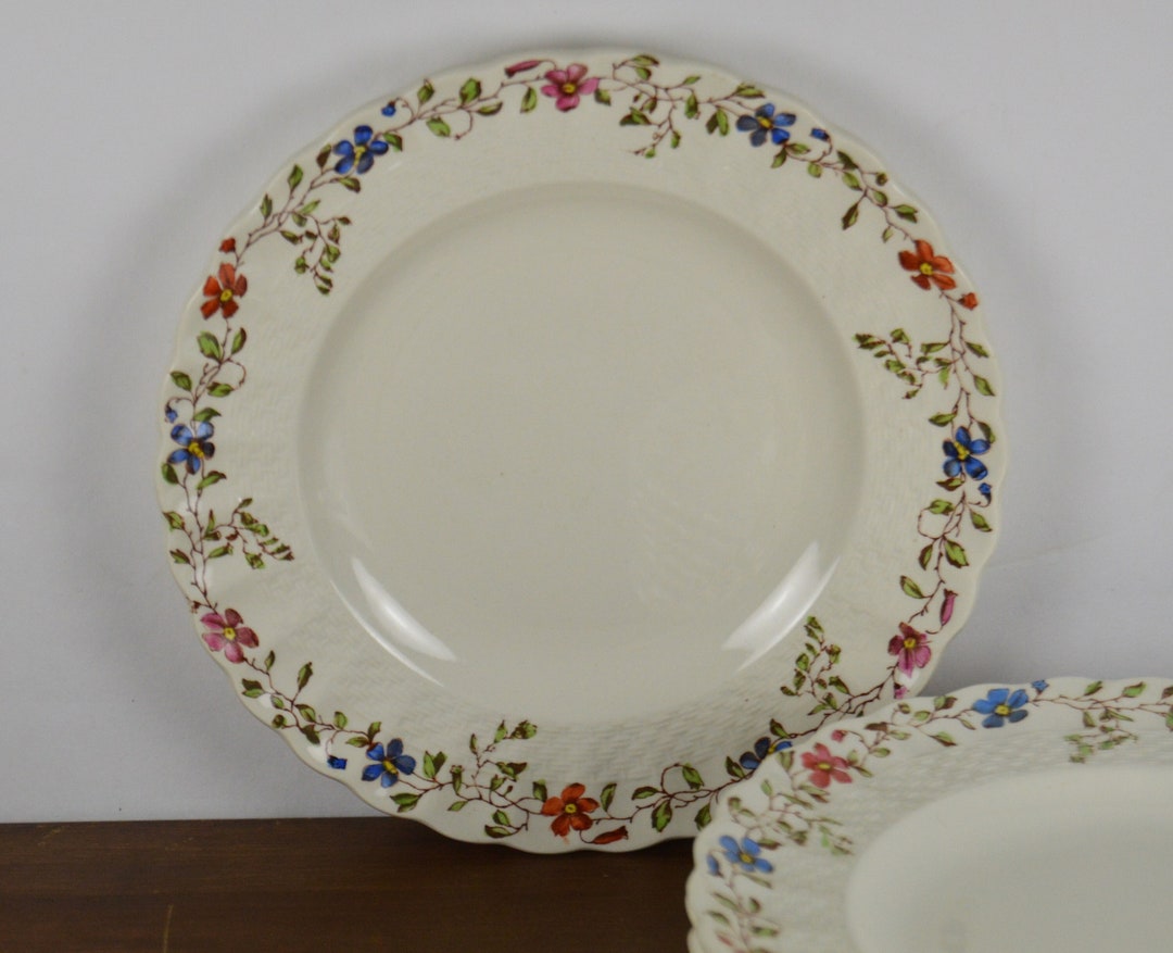Set of 8 Spode WICKER DALE 7.75" Salad Plates, Cream With Colorful ...