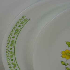 Pair of Corelle 12 Oval Platters, Springtime Theme Colors, 1 Meadow ...