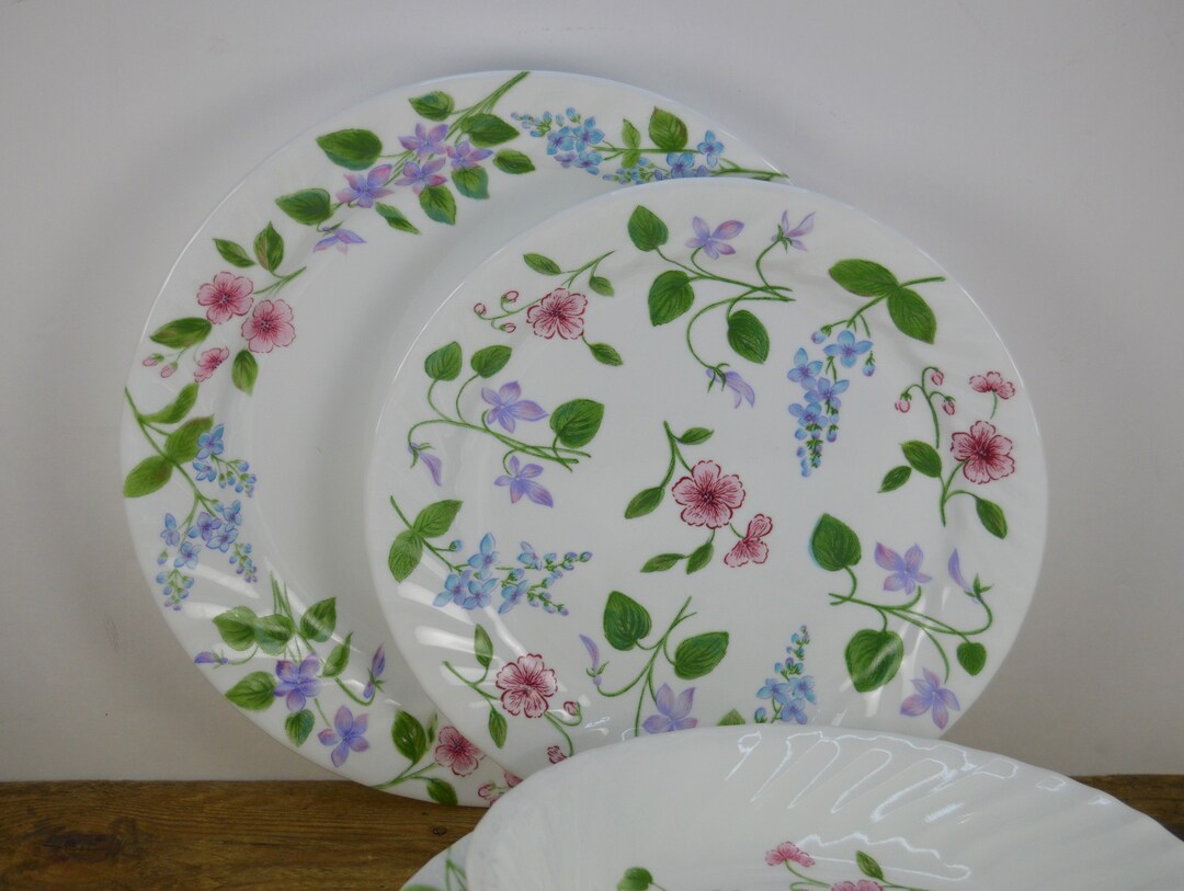 8 Pcs Corelle DELICATE ARRAY, 2 Each: 10 Dinner Plates, 9 Luncheon ...