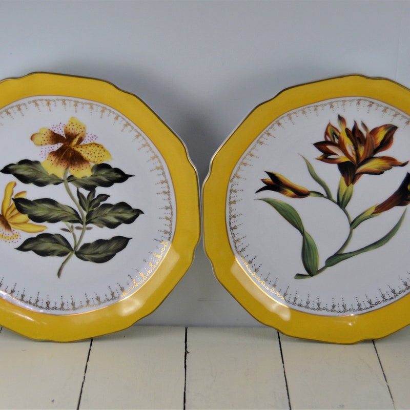 Botanical Plates - Etsy