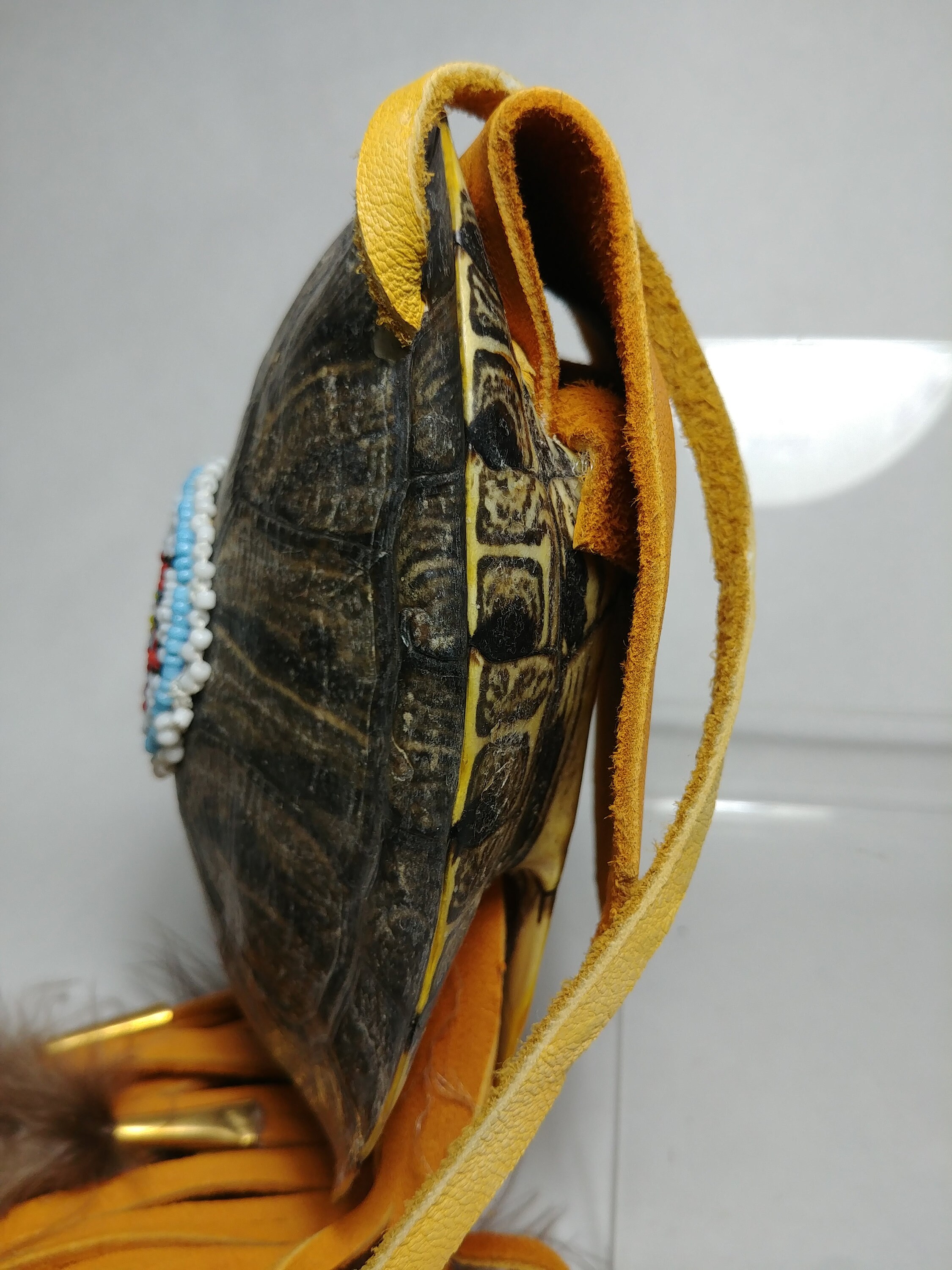 Turtle Purse - Etsy