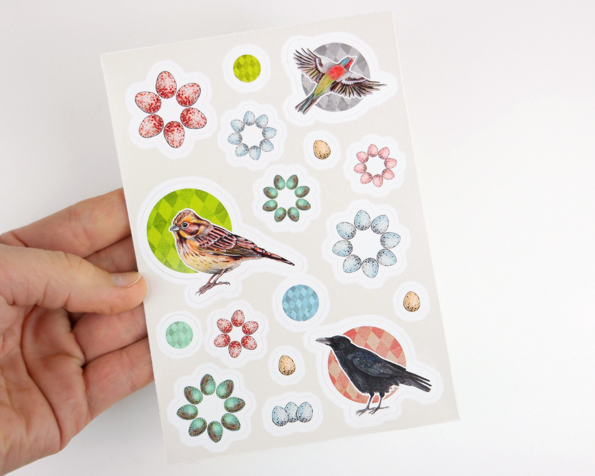 Bird Sticker Vinylsticker Vögel set of 17 stickers egg | Etsy
