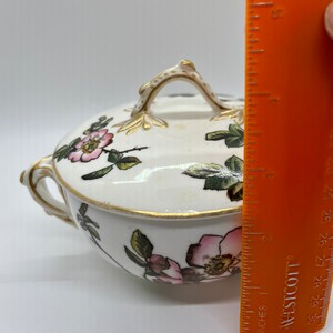 Briar Rose, George Jones, Crescent China, Covered Bowl, C1881, Good ...