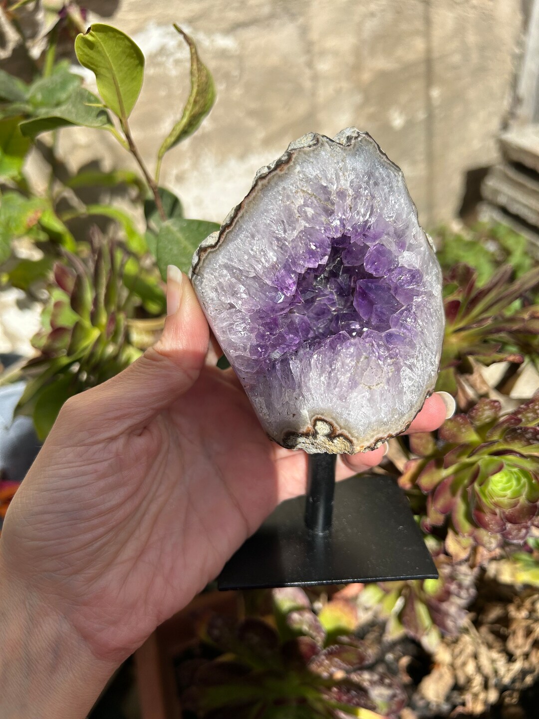 Brazilian Amethyst Geode With Stand, Rocks and Geodes. - Etsy