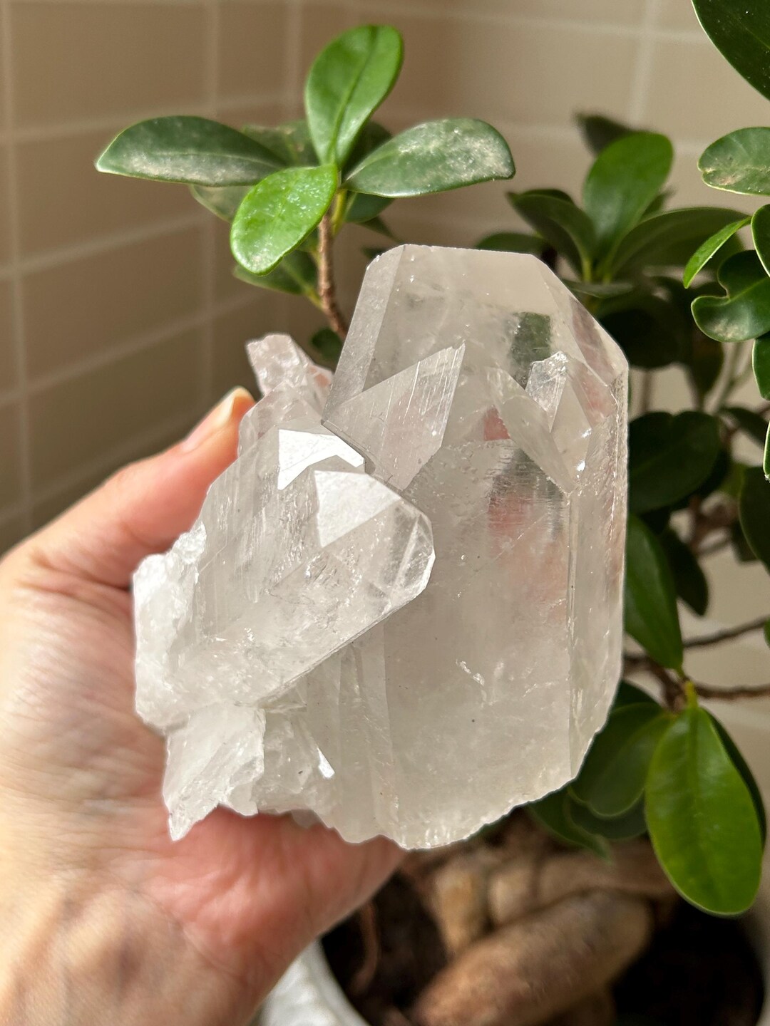 Tabular Master Quartz, Quartz Point, Quartz Crystal, Quartz Therapies ...
