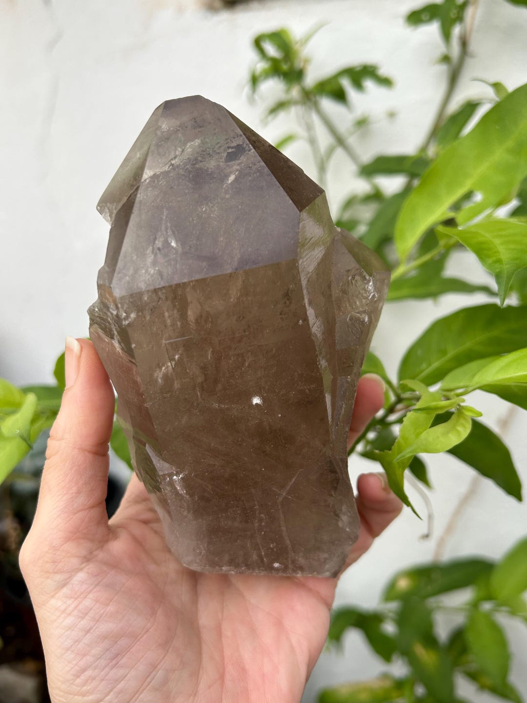 Smoky Quartz, Master Channeling Quartz. Quartz. Natural Quartz - Etsy