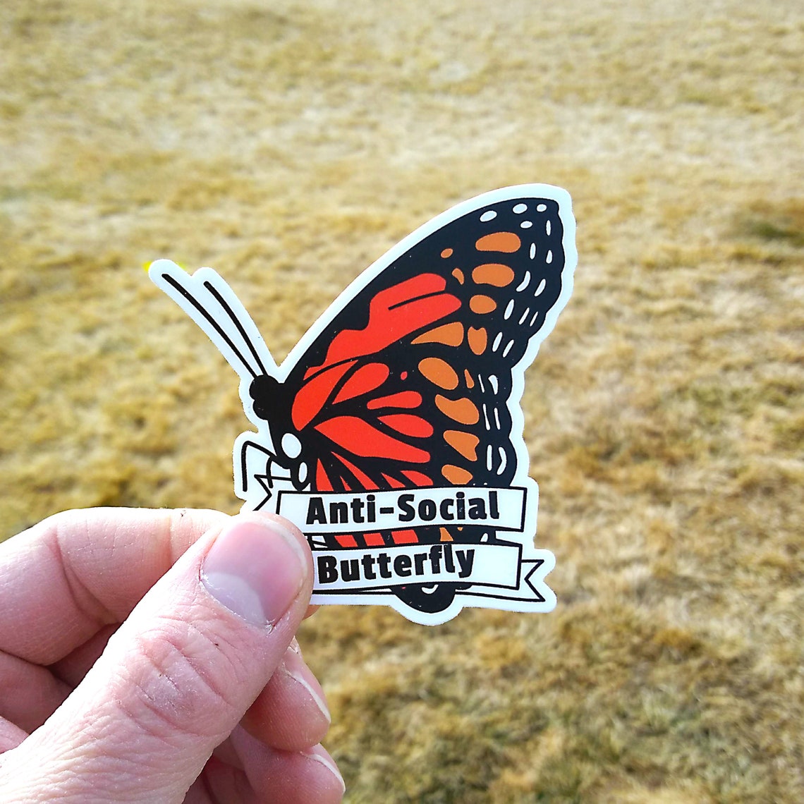 Introvert Vinyl Sticker | Antisocial Butterfly Sticker | Sticker for ...