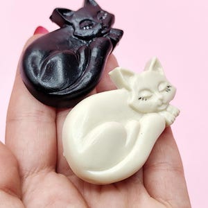 A Beautiful Sleeping Cat! Ivory or Black Cat Brooch- Bakelite ...