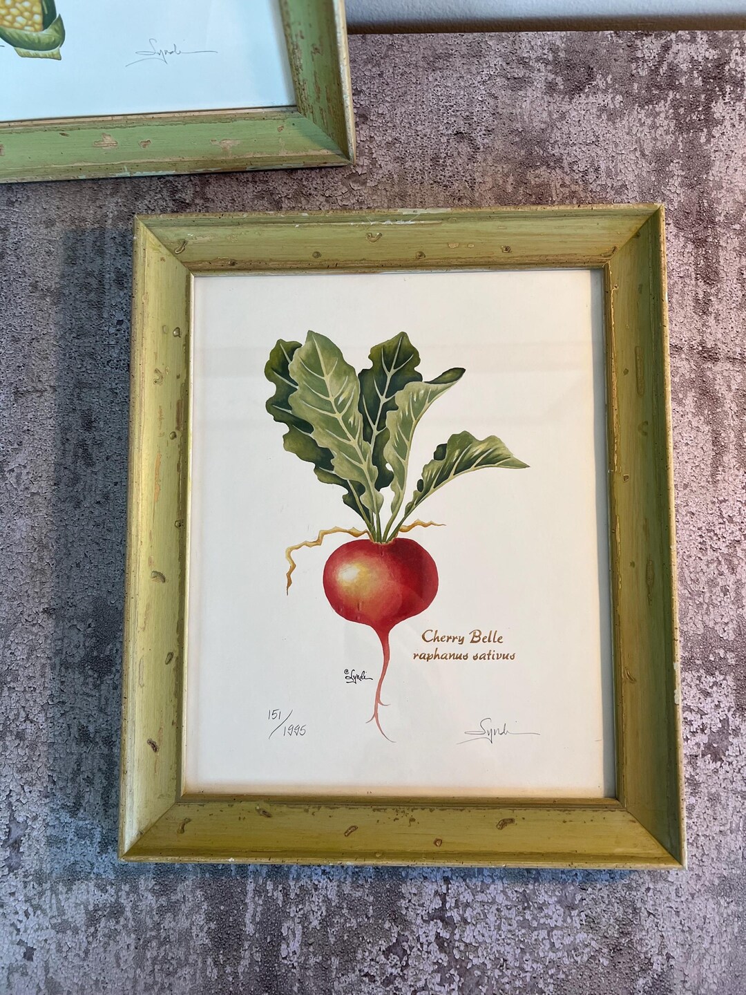 Pair Original Veggie Prints 10 X 12 by Lyndi Lende With the Hudson ...