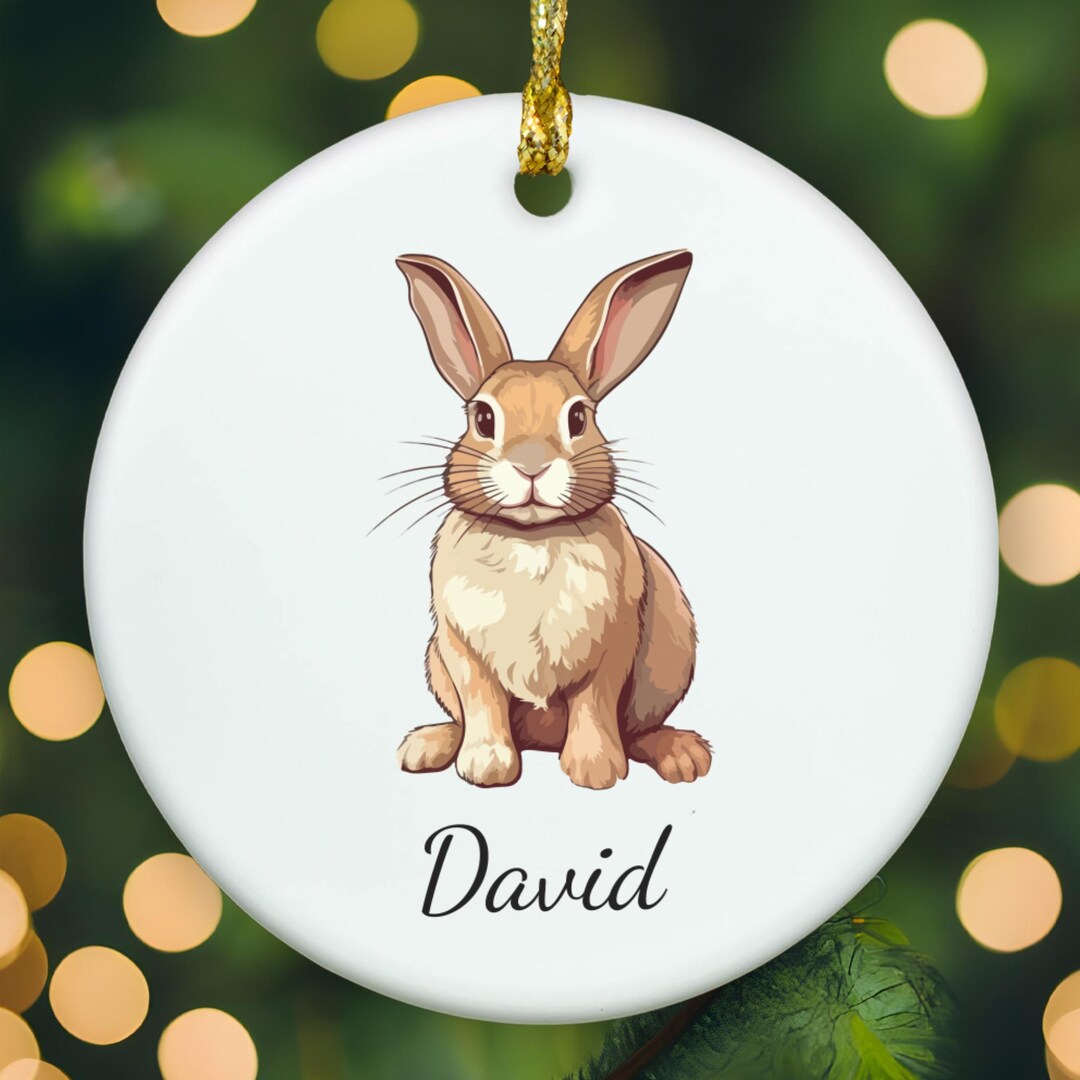 Personalized Rabbit Ornament, Rabbit Christmas Ornament, Rabbit Xmas ...