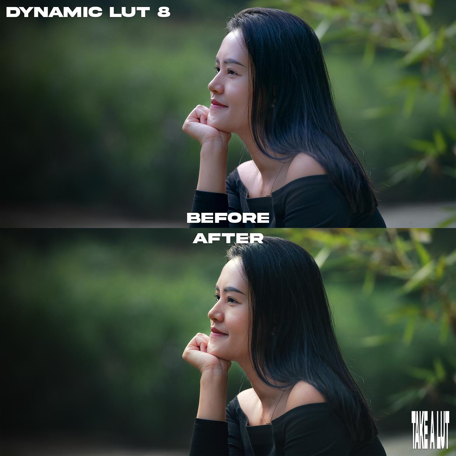 DYNAMIC LUT PACK for Photographer & Filmmaker | Cinematic Luts for ...