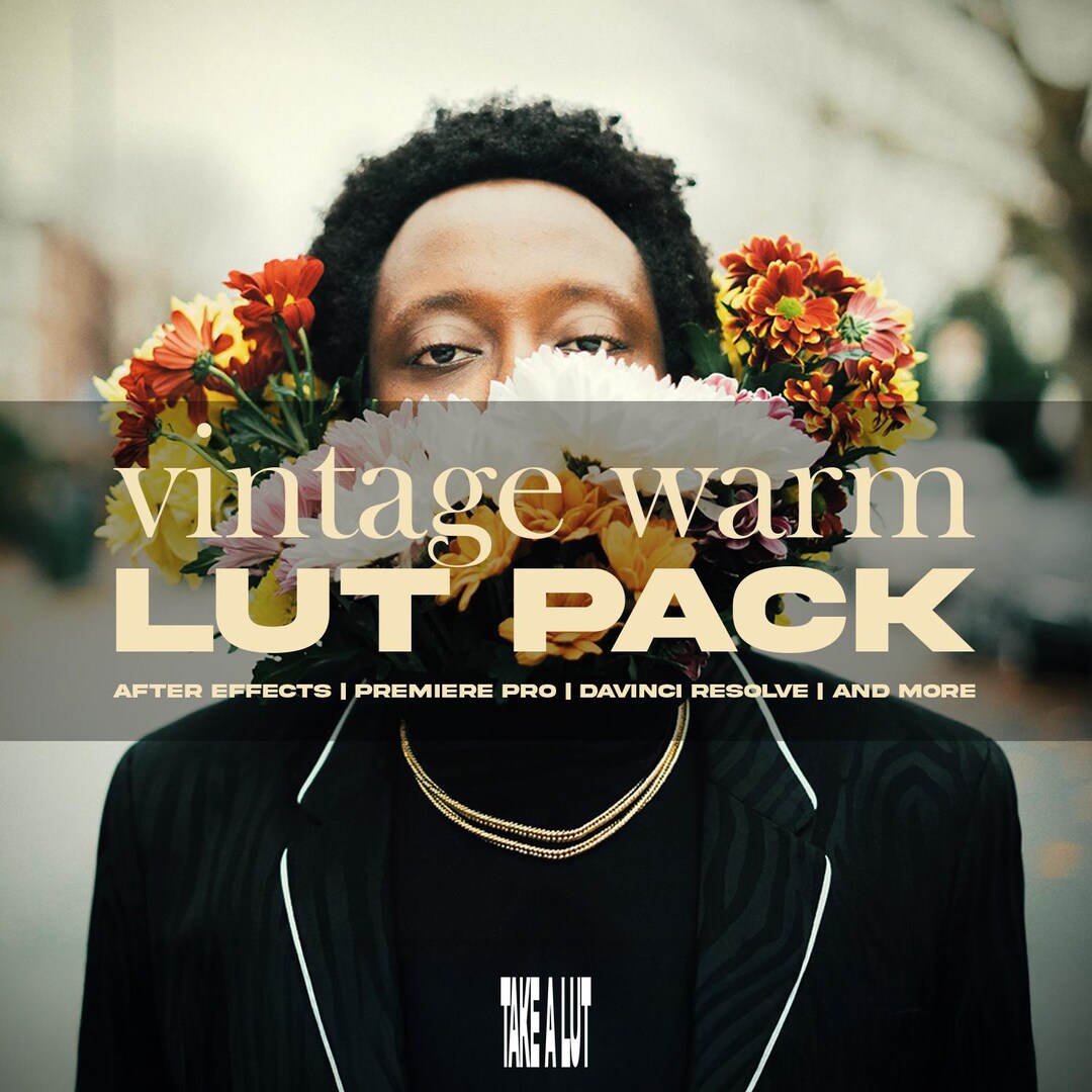 Vintage Warm LUT PACK for Photographer & Filmmaker | Cinematic Luts for ...