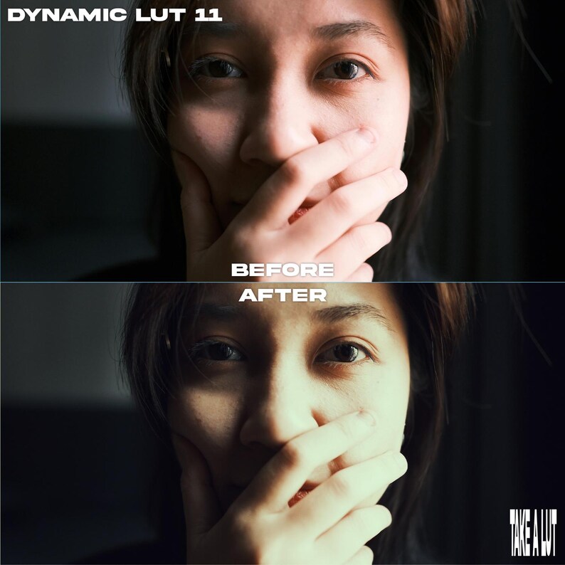 DYNAMIC LUT PACK for Photographer & Filmmaker | Cinematic Luts for ...