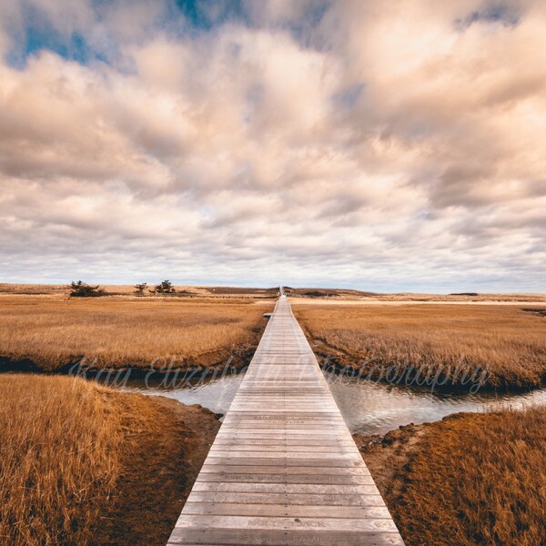 Cape Cod Landscape - Etsy