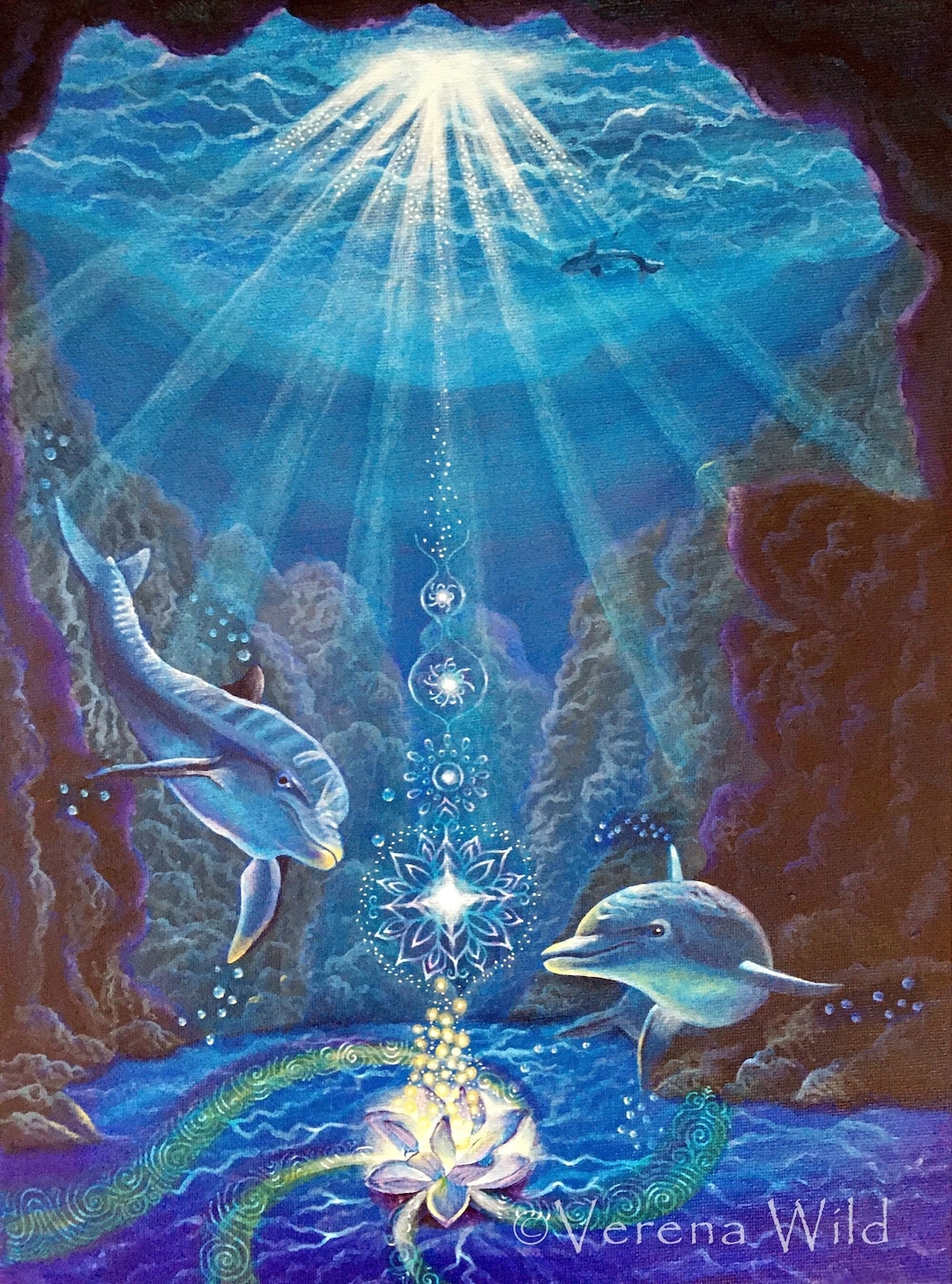 Magic Dolphin Paper Print - Etsy