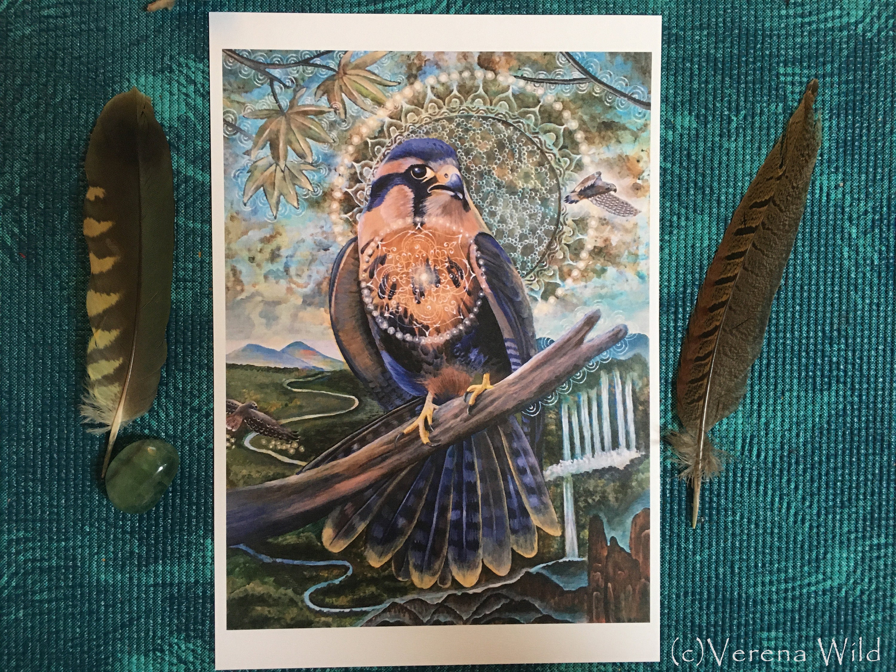 Falcon A4 Print Free Spirit - Etsy