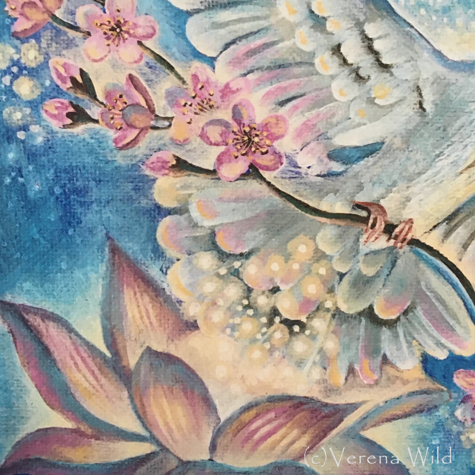 Peace Dove Fine Art Print - Etsy