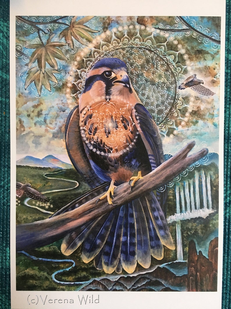 Falcon A4 Print - Free Spirit - Etsy