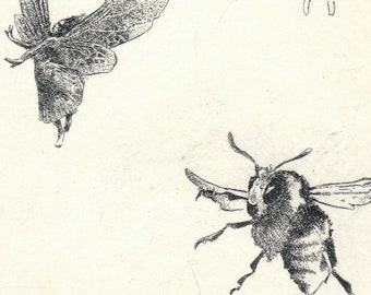 Two Cats Sleeping Original Limited Edition Etching by Alan Larkin - Etsy