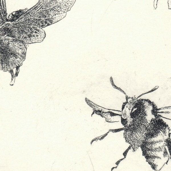 The Ten of Cats Original Limited Edition Etching by Alan Larkin Title ...