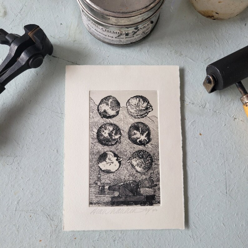 The Six of Cats - Original Limited Edition Etching by Alan Larkin ...